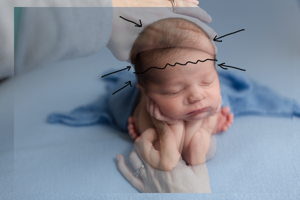 Froggy Pose | Head in Hands {Maple Valley newborn photographer} - Dawn ...