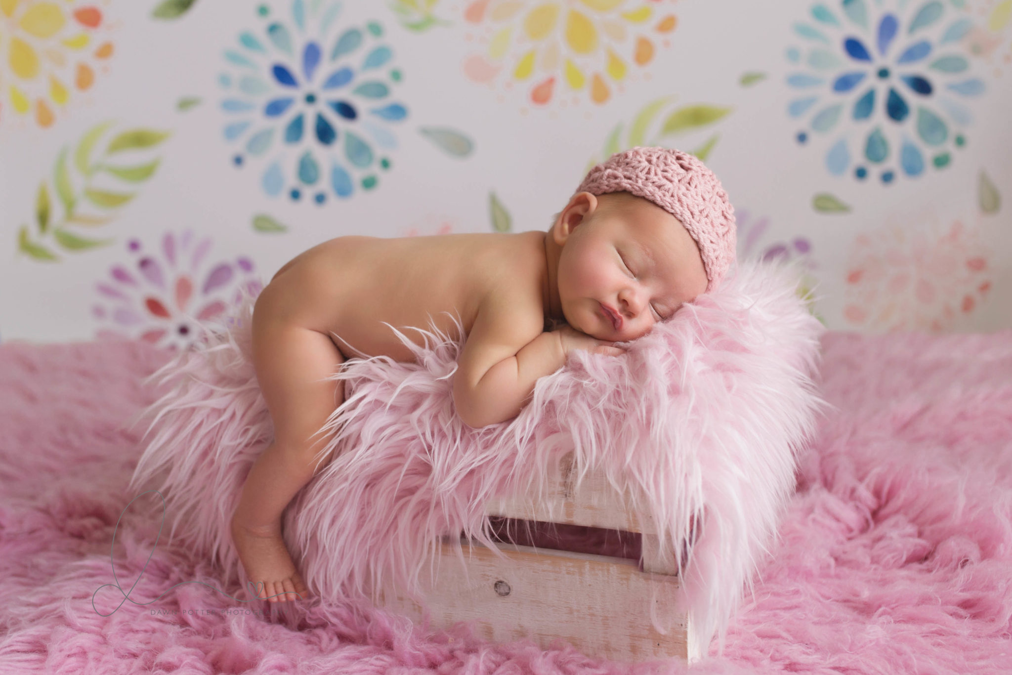 Sleepy Baby Girl Quinn | 8 days | Bellevue Issaquah newborn baby ...