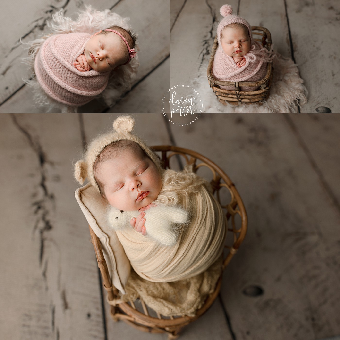 View Recent Sessions | Blog - Dawn Potter Photography